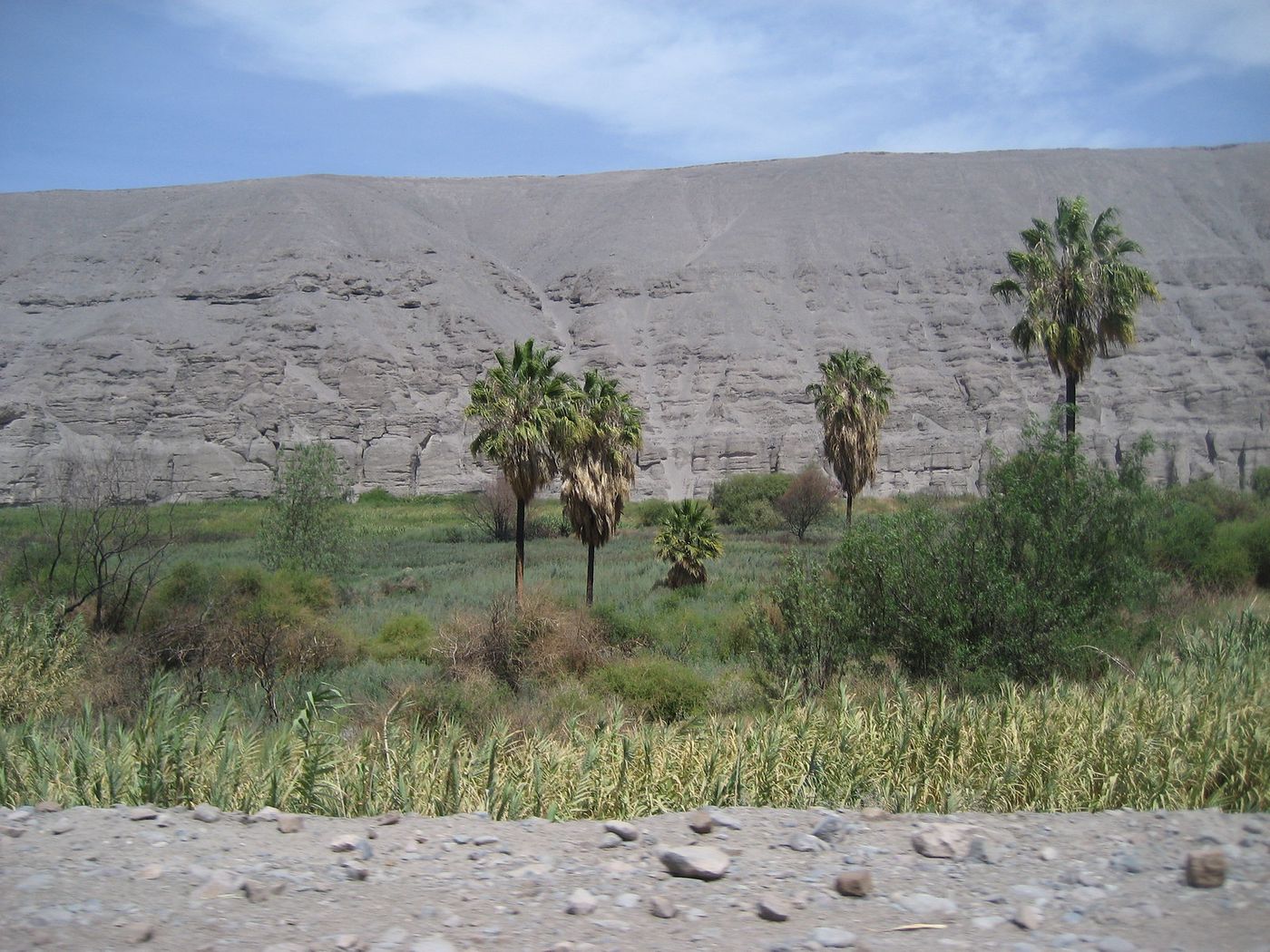 Huara | Observatorio Institucional CIREN